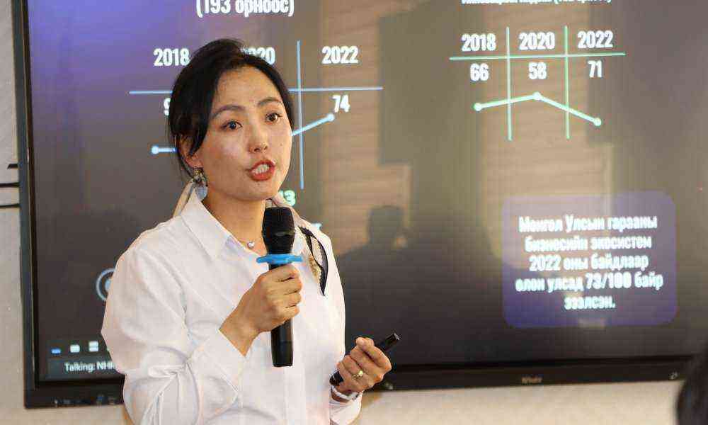 Технологи ба Хүний эрх нээлттэй хяналт шалгалтыг үндэсний хэмжээнд хийж эхэллээ